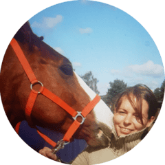 Nasenausfluss beim Pferd: Der Rotz-Ratgeber | Josera