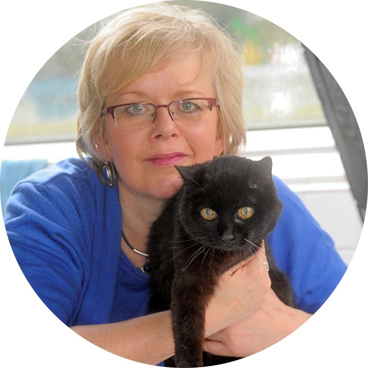 Die Katze niest: Woran liegt es und was kann helfen?