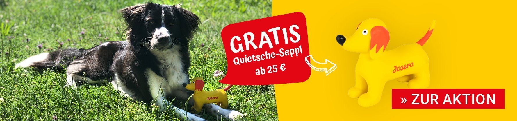 Hundefutter Premiumqualität von JOSERA jetzt online kaufen