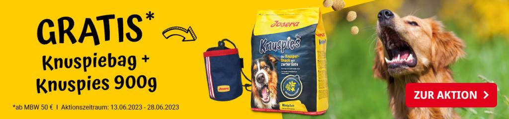 Hundefutter in Premiumqualität online bestellen | Josera