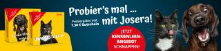 Hundefutter in Premiumqualität online bestellen | Josera
